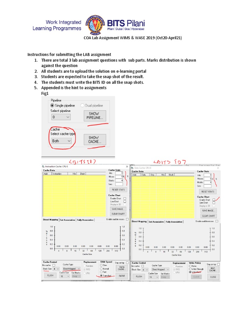 Assignment Coa Wase Wims2019 | PDF | Cpu Cache | Cache (Computing)