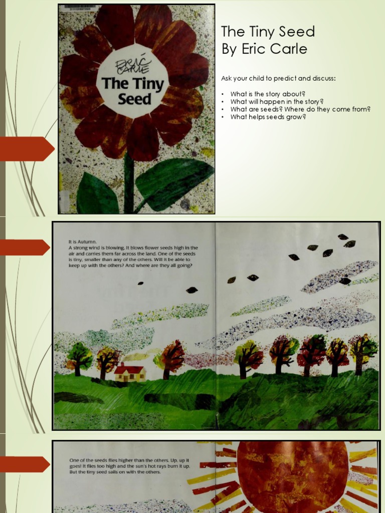 Exploring "The Tiny Seed" Story | PDF