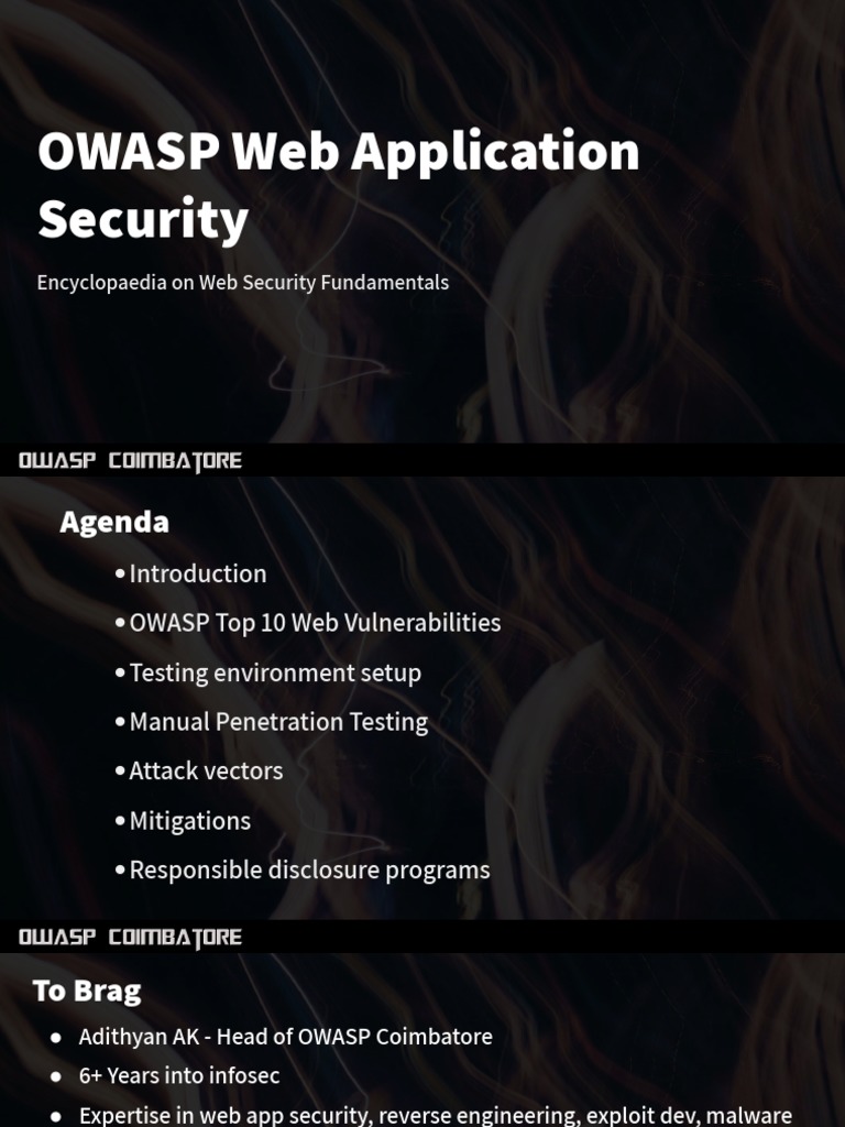 Web Application Security Adithyan AK | Download Free PDF | Password | Http Cookie
