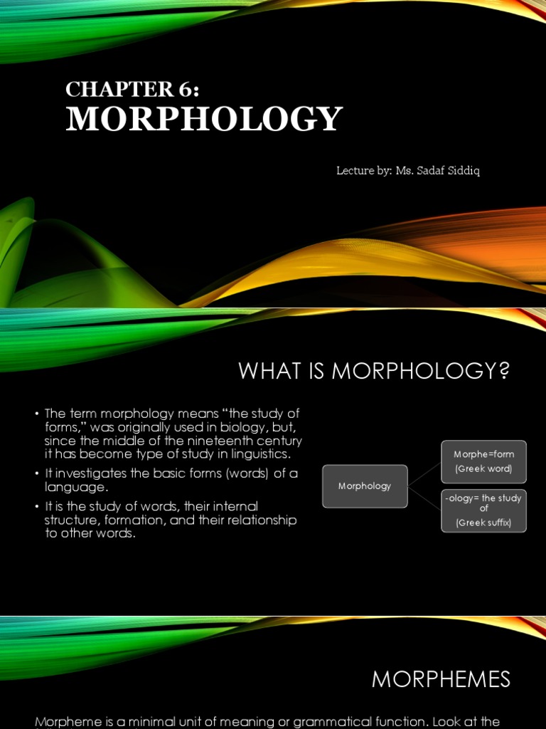 Chapter 6 Morphology | PDF | Part Of Speech | Morphology (Linguistics)