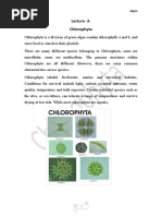 Vertebrate Zoology Lecture Notes | PDF | Vertebrates | Tissue (Biology)