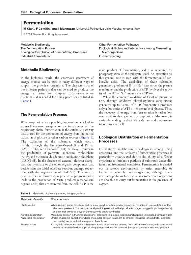 Understanding the Ecology and Metabolism of Fermentation: From ...