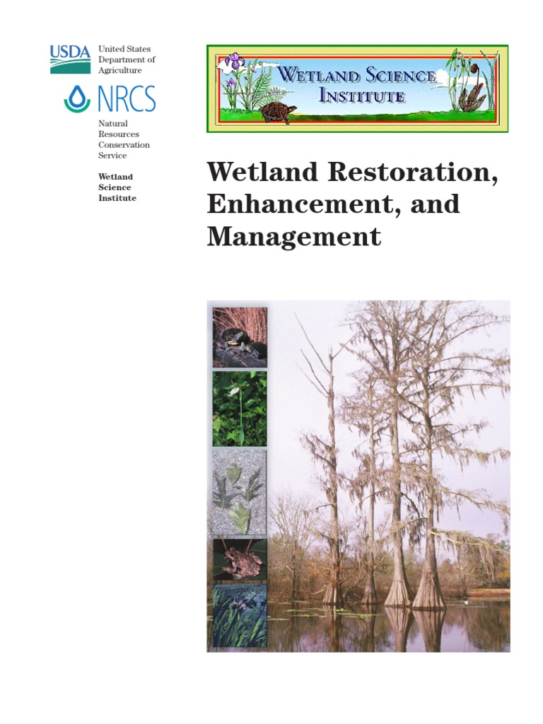 USDA Wetland Restoration, Enhancement and Management | PDF | Levee ...