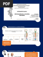 Analisis de Rocabado | PDF | Anatomía | Trastornos musculoesqueléticos