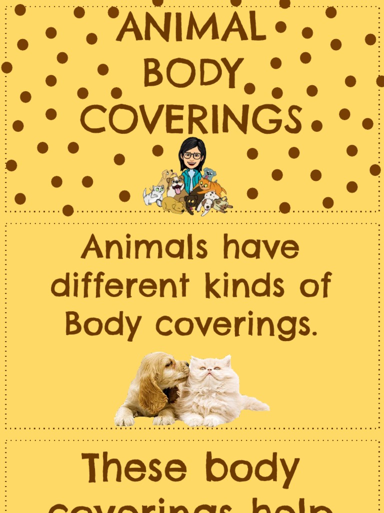 Types of Animal Body Coverings | PDF | Science & Mathematics | General ...
