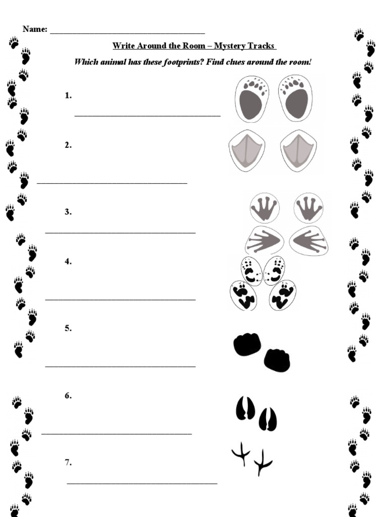 Mystery Tracks: Animal Footprints Activity | PDF | Language Arts ...