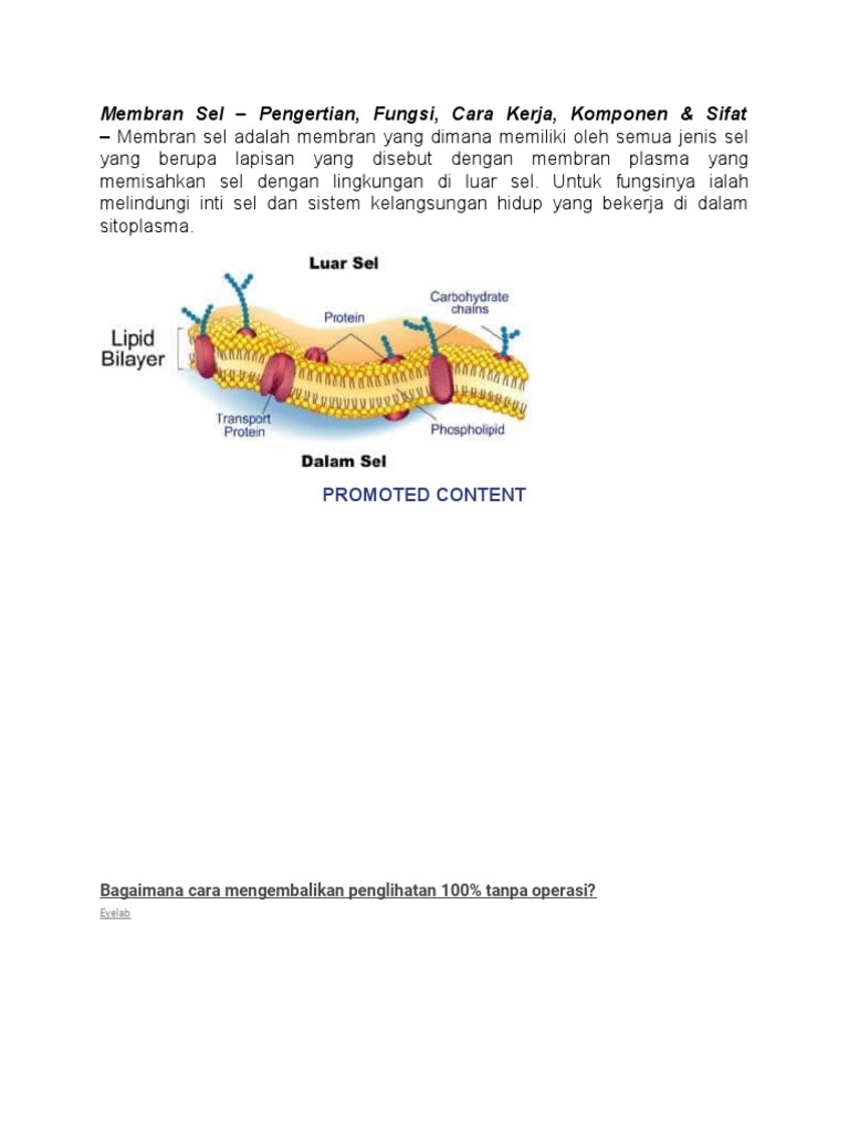 Komponen Dan Fungsi Membran Sel | PDF