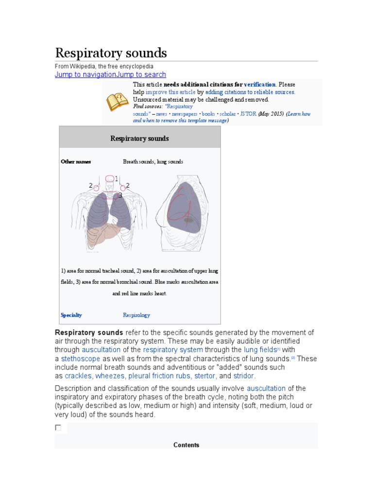 Respiratory Sounds | PDF | Pulmonology | Respiratory System
