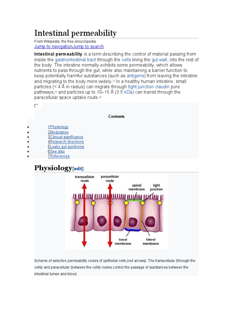 Intestinal Permeability | PDF | Biology | Gastroenterology