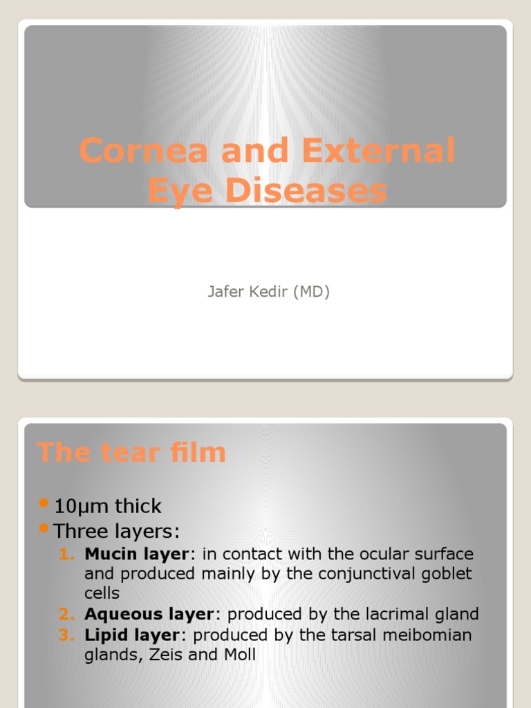 Cornea and Anterior Segment | PDF | Cornea | Ophthalmology