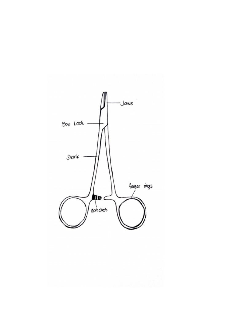 Forcep Drawing | PDF