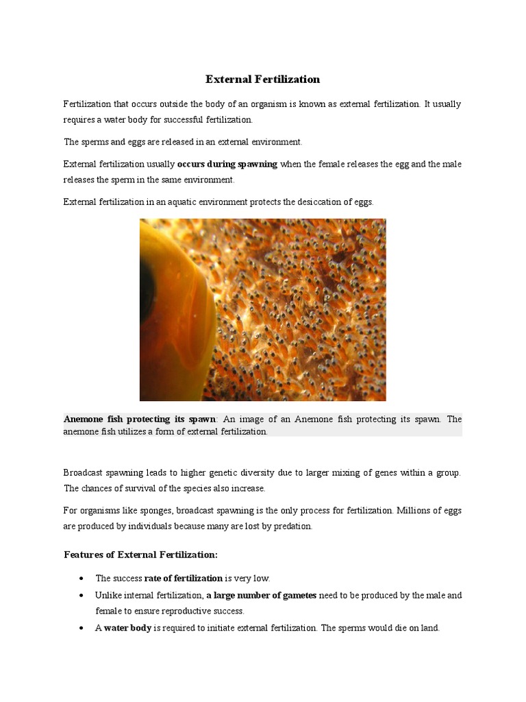 External Fertilization | PDF | Fertilisation | Spawn (Biology)