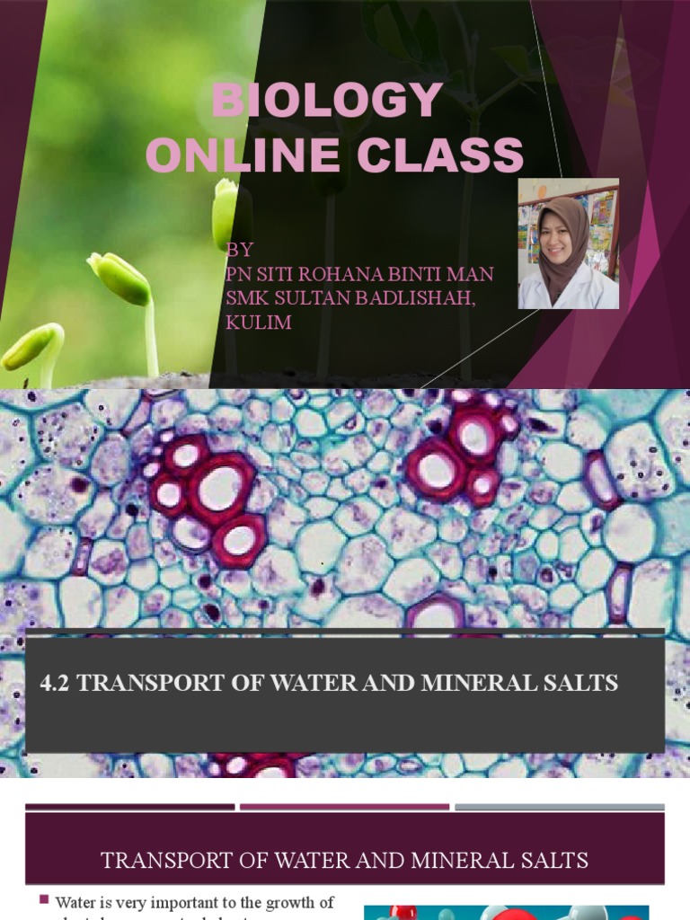 Bio - F5 - KSSM - Chapter 4 - 4.2 - Transport of Water and Mineral Salts | PDF