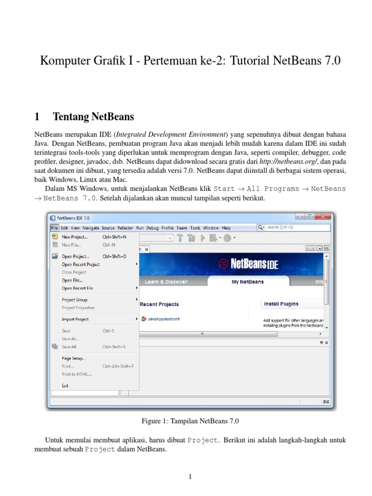 cg01 02a Netbeans | PDF