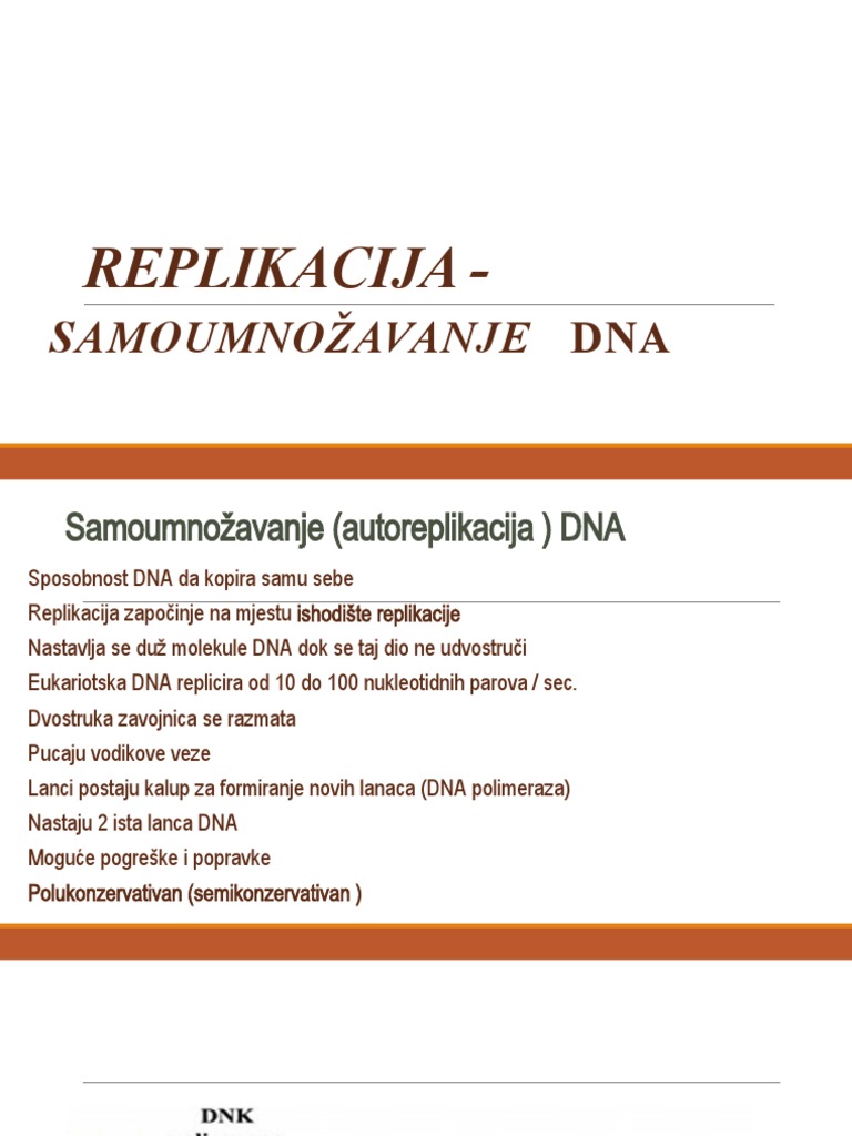 Replikacija Dna | PDF