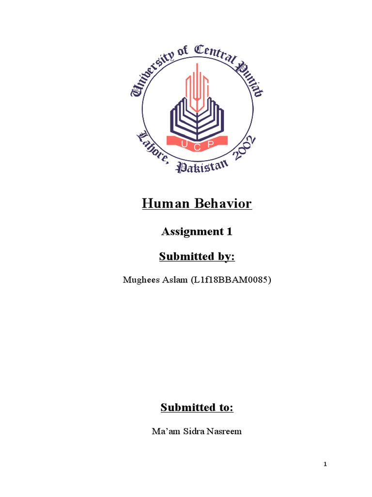Human Behavior: Assignment 1 Submitted by | PDF | Diversity (Business ...