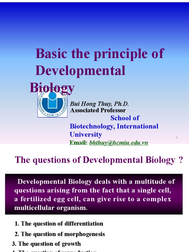 Basic The Principle of Developmental Biology: School of Biotechnology ...