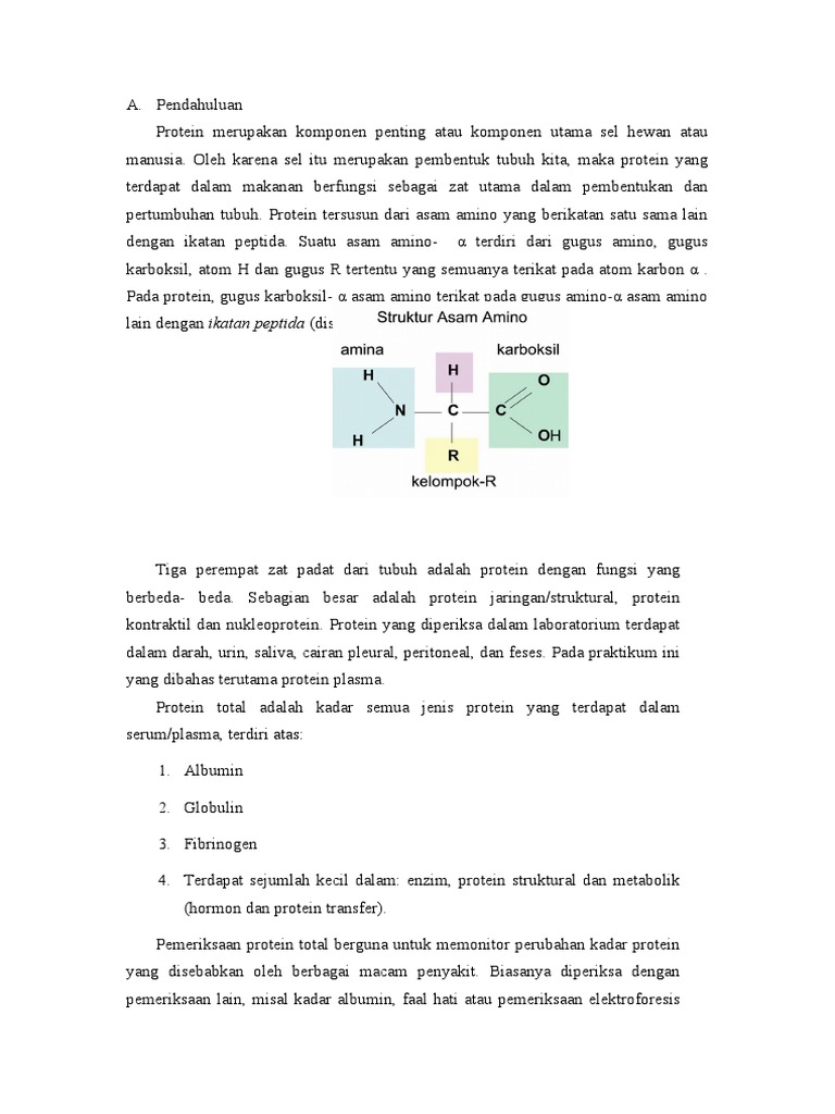 Dasar Teori Total Protein | PDF