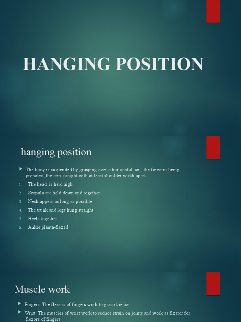 Hanging Position | PDF | Anatomical Terms Of Motion | Elbow
