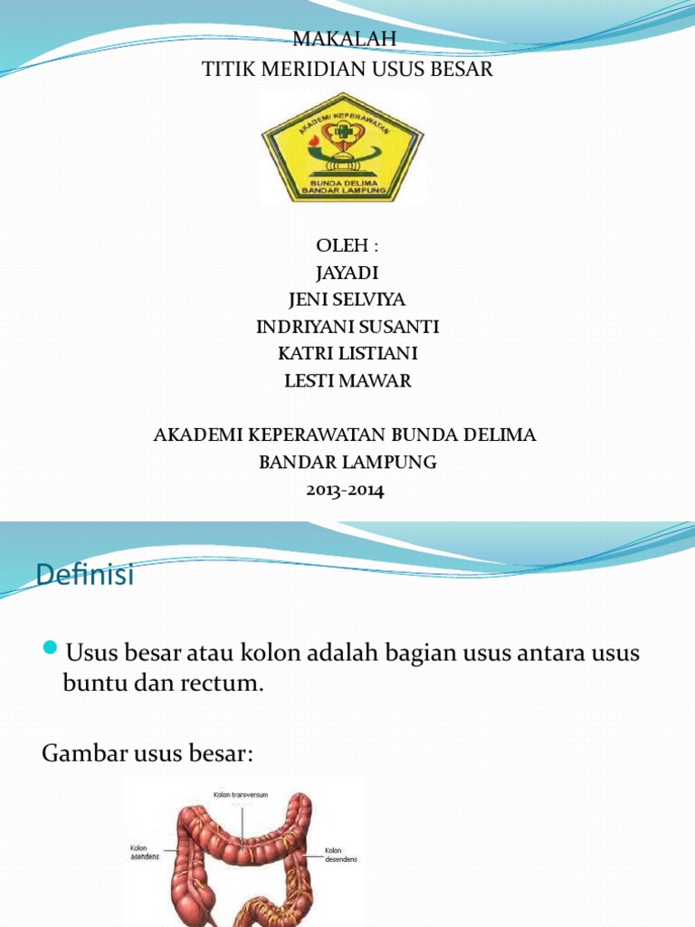 Usus Besar | PDF | Ilmu Sosial | Kesehatan Holistik