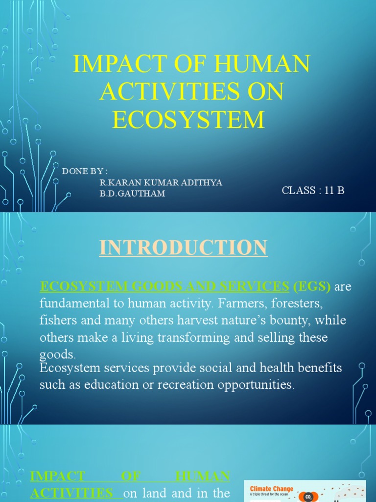 Impact of Human Activities On Ecosystem | PDF | Environmental ...