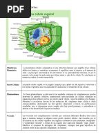 Pasos Quirúrgicos para La Cesárea Tipo Kerr | PDF | Abdomen | Seccion ...
