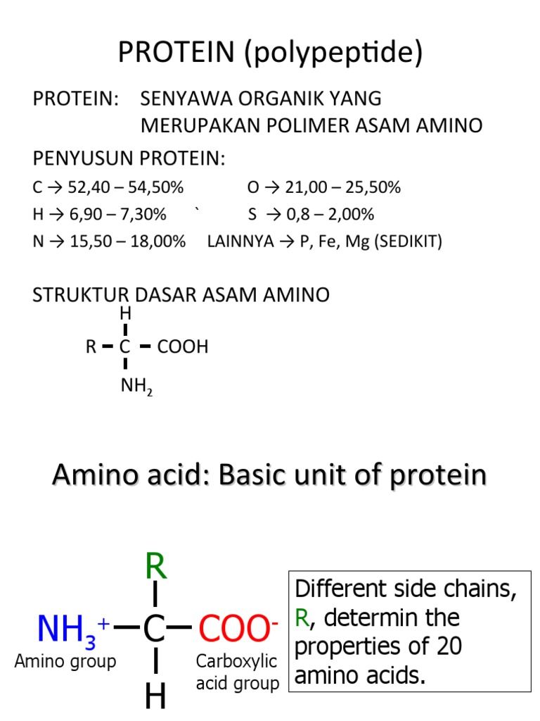 PROTEIN (Polypeptide) : Protein: Senyawa Organik Yang Merupakan Polimer ...