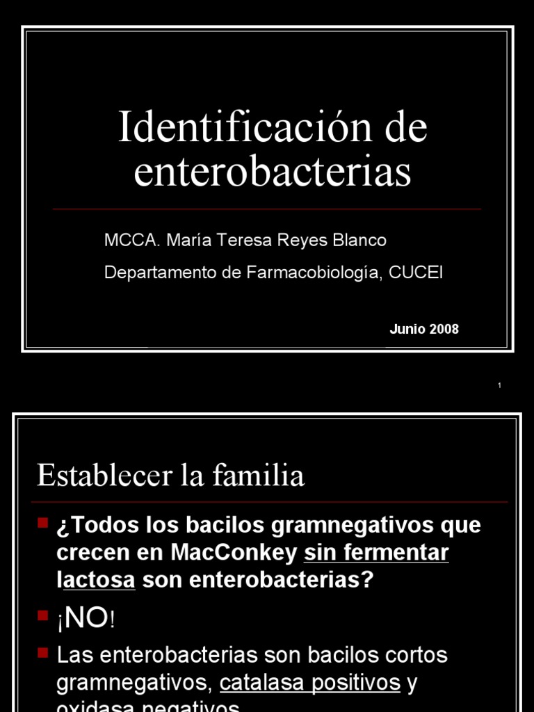 IDENTIFICACION DE LAS ENTEROBACTERIAS MÁS COMUNES | Microbiología ...