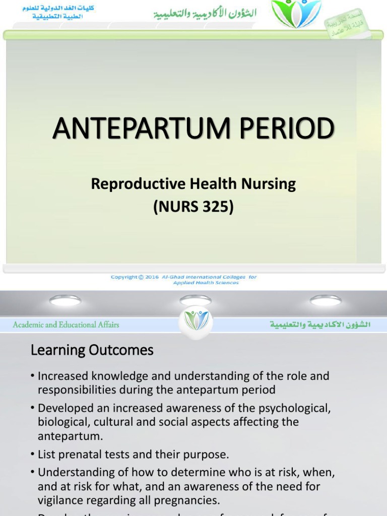 NURS325 04 Antepartum Period | PDF | Prenatal Development | Pregnancy