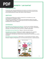 Proyecto de Germinación para Niños | PDF | Plantas | Semilla
