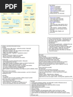 Anatomy and Physiology Science Olympiad 2024 Cheat Sheet | PDF ...