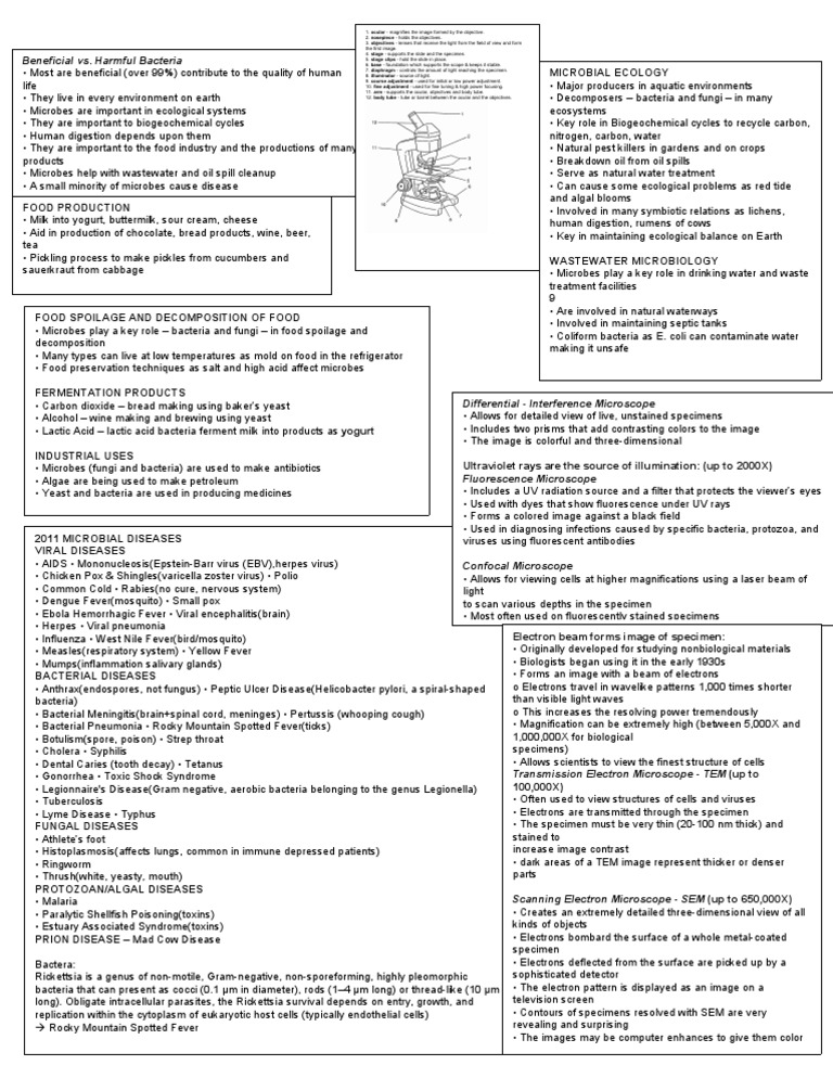 Microbe Mission | PDF | Bacteria | Microorganism