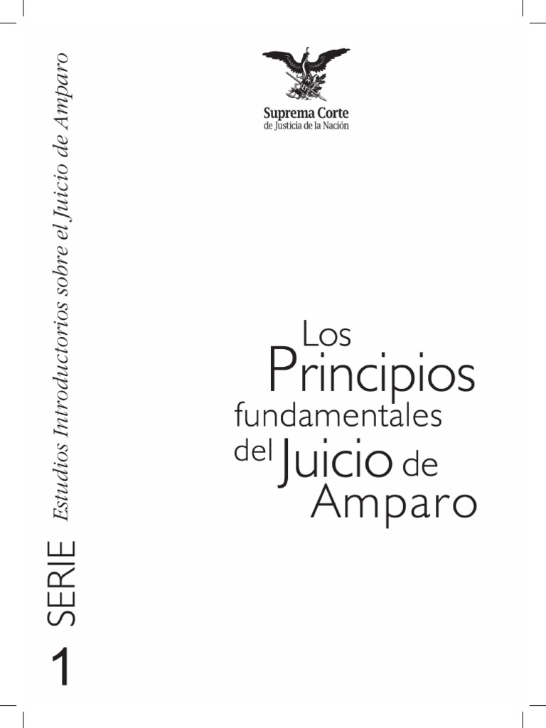 Los Principios en El Juicio de Amparo | PDF | Derecho Constitucional | Federación