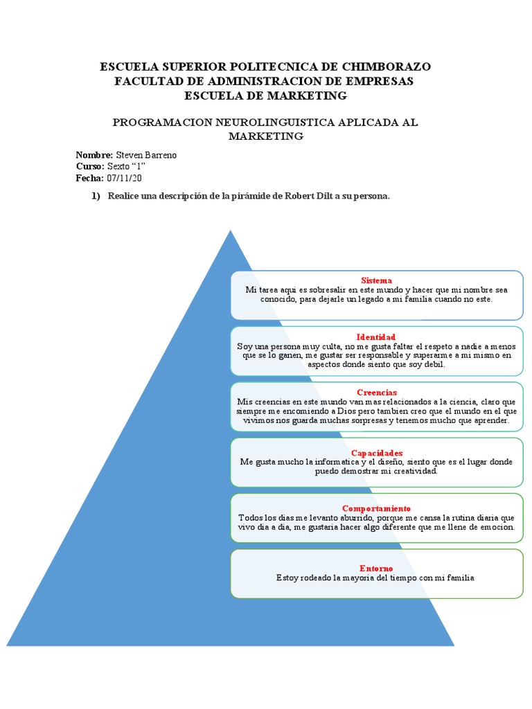 1.1 Piramide de Robert Dilts | PDF