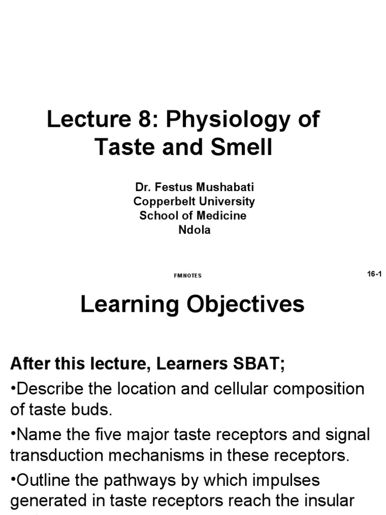 Lecture 3 Taste and Smell Physiology | PDF | Taste | Olfaction