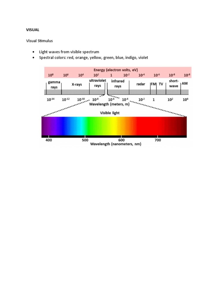 Visual Stimulus Light Waves From Visible Spectrum Spectral Colors: Red ...