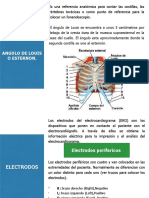 Ángulo de Louis | PDF | Tórax | Anatomía humana