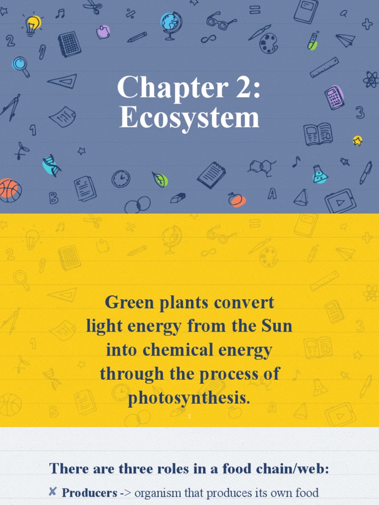Science Form 2 Chapter 2 | PDF | Ecosystem | Symbiosis