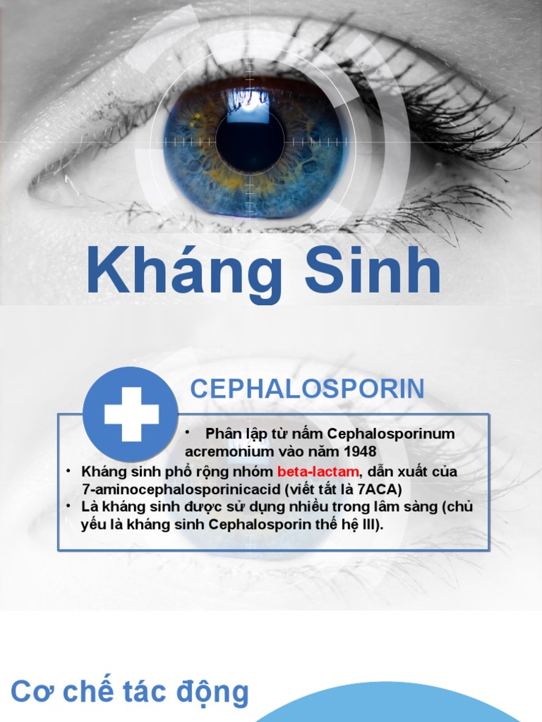 Cephalosporin - Aminosid | PDF