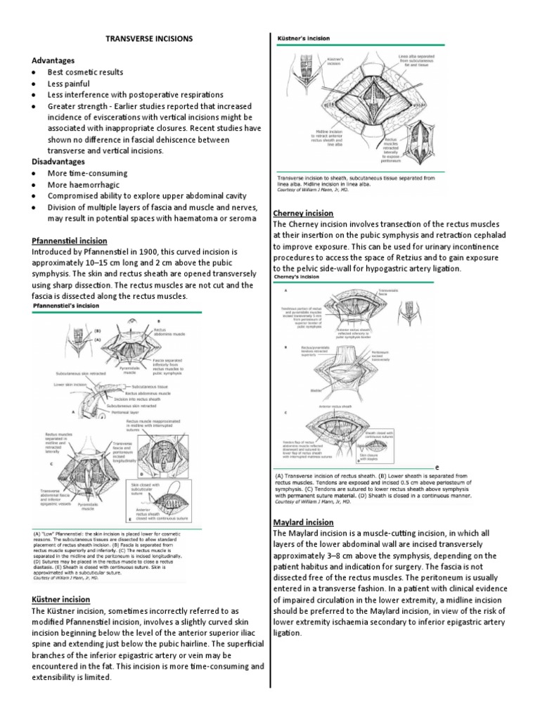 Transverse Incisions Advantages | PDF | Abdomen | Anatomy