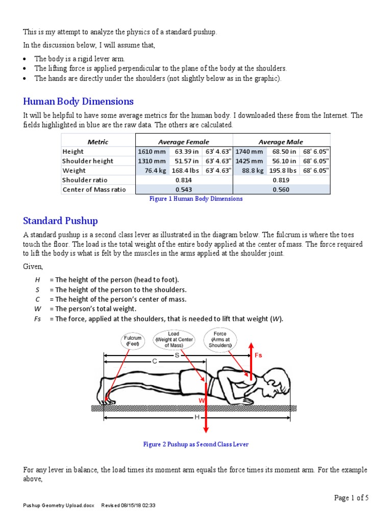 Human Body Dimensions: Metric Average Female Average Male | PDF | Lever ...