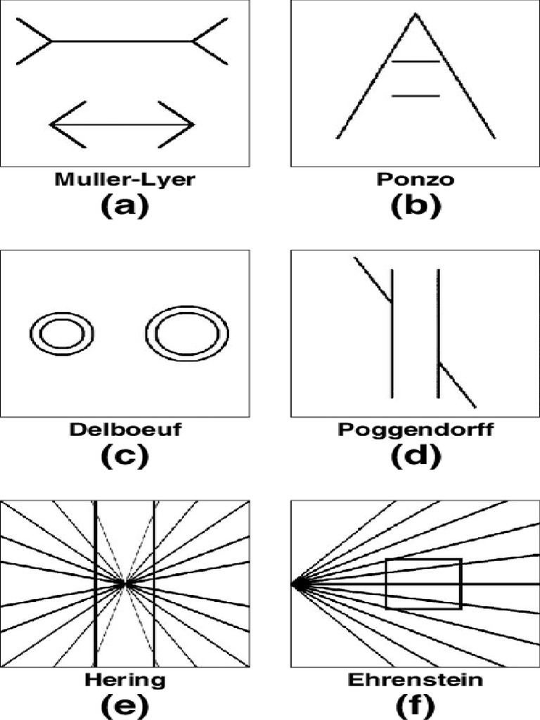 Optical Illusion | PDF