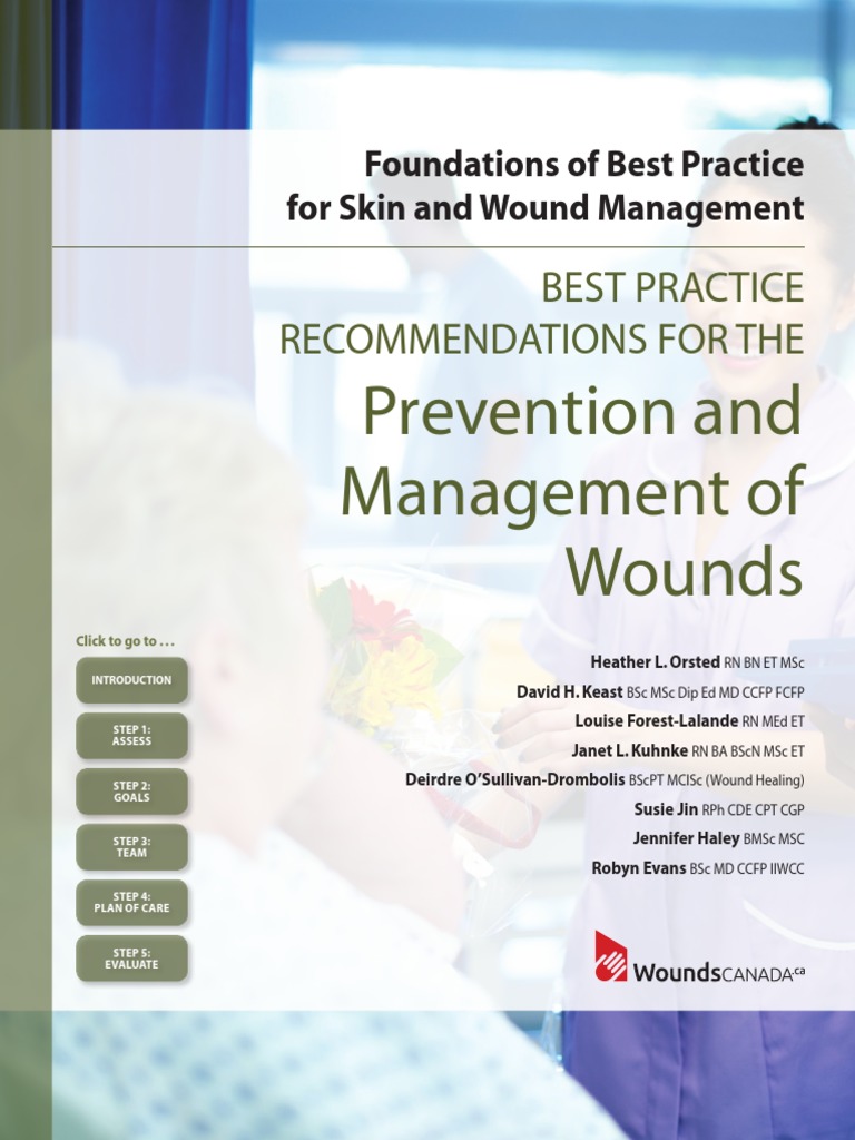 WC BPR - Prevention and Management of Wounds 1515r4e Final | PDF | Pain ...