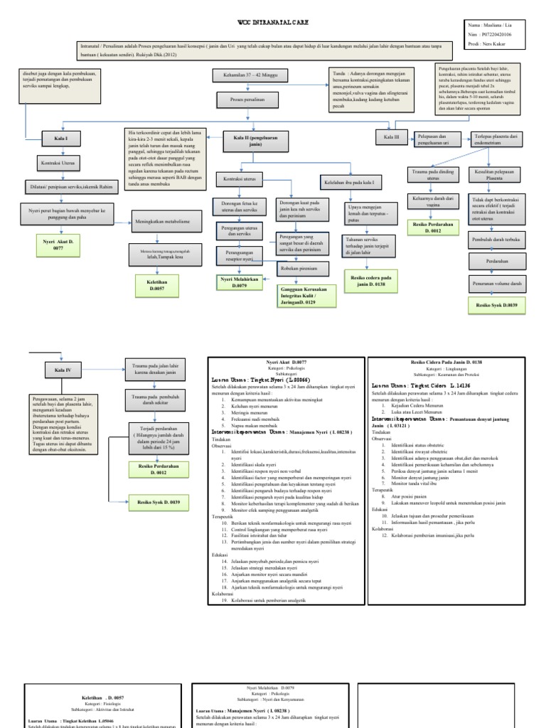 Asuhan Keperawatan Intranatal Terintegrasi | PDF