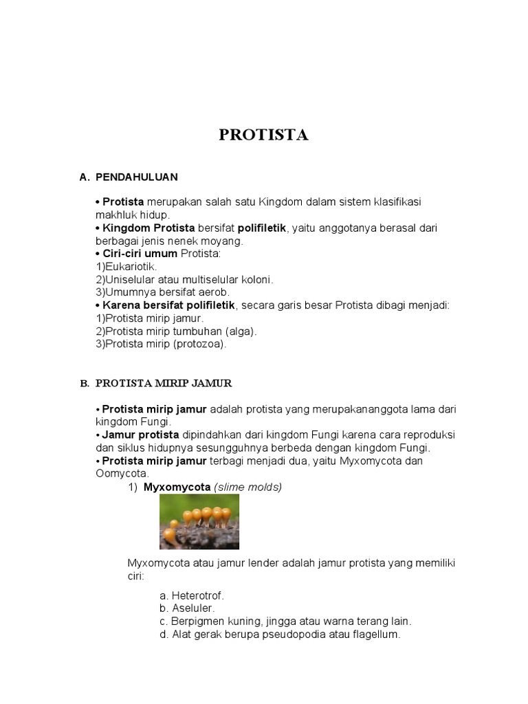 Protista | PDF | Kesehatan Holistik