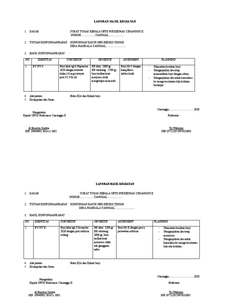 Laporan Hasil Kegiatan - Sdidtk | PDF