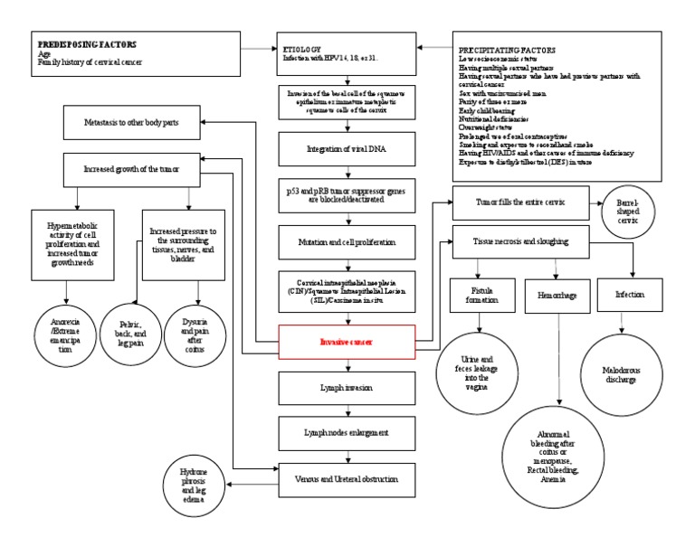 Cervical Cancer Pathophysiology | PDF | Cervical Cancer | Neoplasms