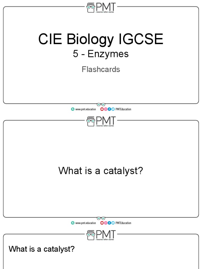 Flashcards - Topic 5 Enzymes - CAIE Biology IGCSE | PDF | Active Site ...