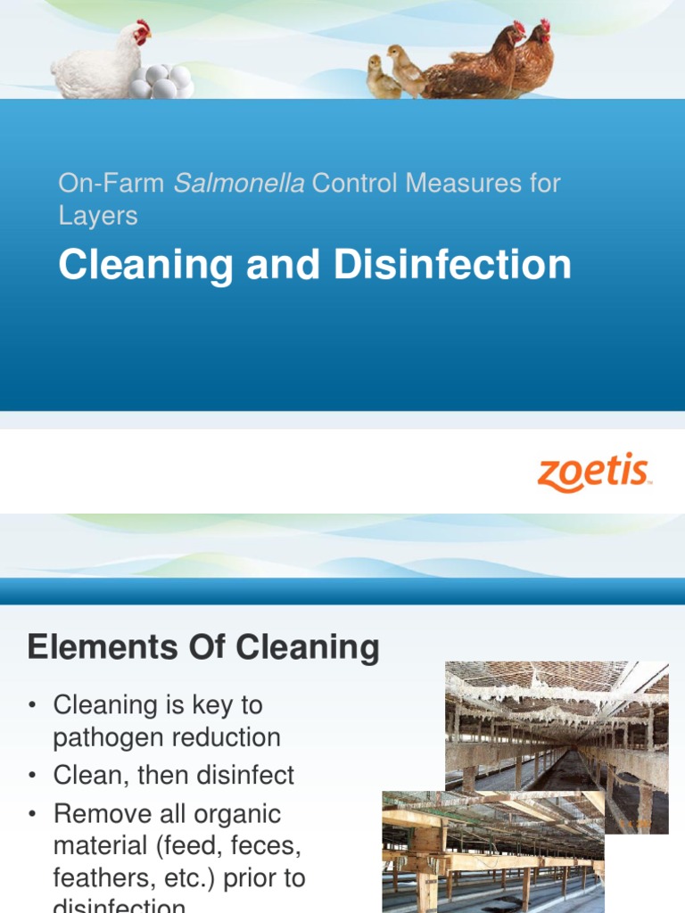 Cleaning and Disinfection: On-Farm Salmonella Control Measures For ...