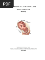 Lembar Partograf Kosong | PDF